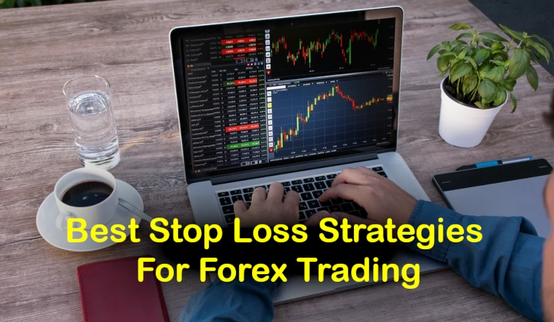 Best Stop Loss Strategies For Forex Trading - Vista Blogger